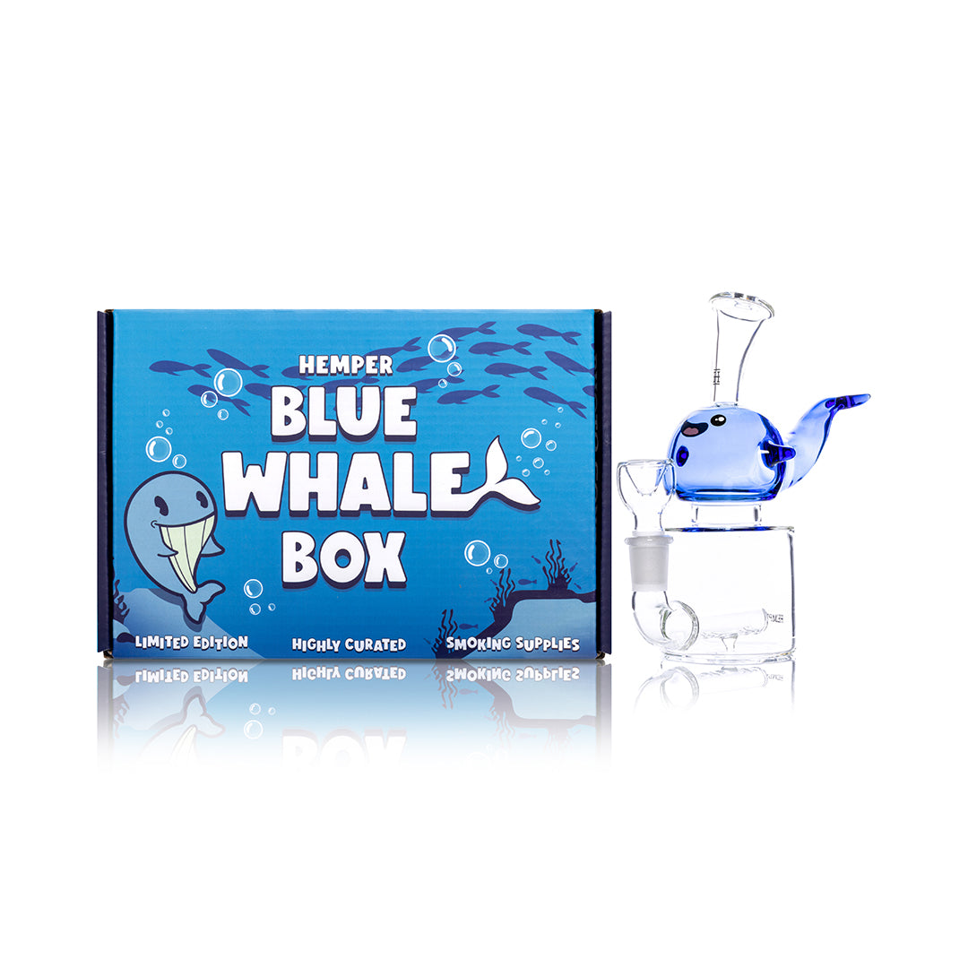 HEMPER- Blue Whale Bong 6.5" – MISSAtrading.com